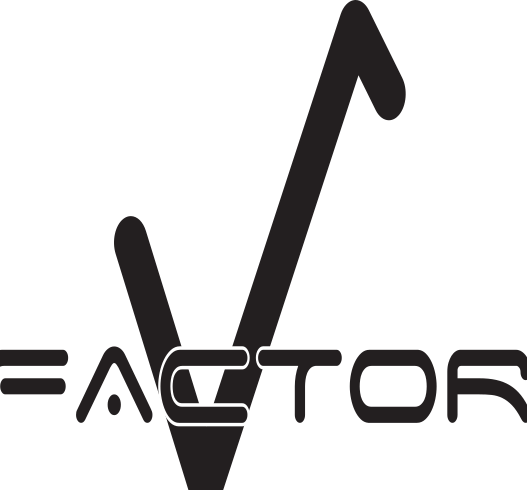 V Factor Hair Stylist Portfolio